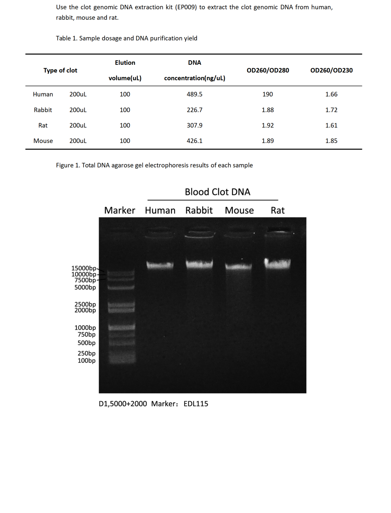 Amp Blood Clot DNA Extraction Kit – Atochembio