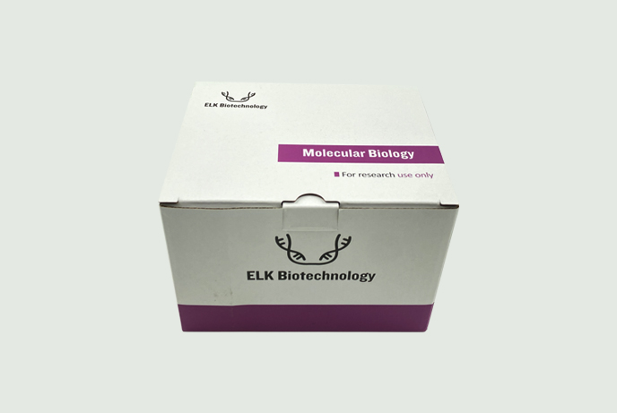 FFPE DNA Extraction Kit – Atochembio