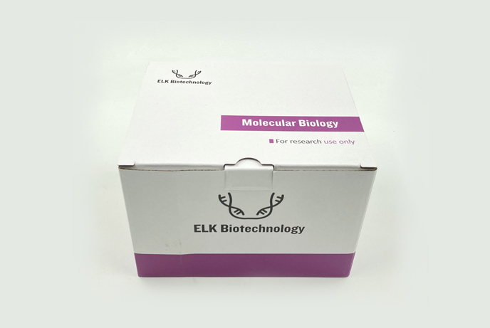 Plant/fungal DNA extraction kit – Atochembio