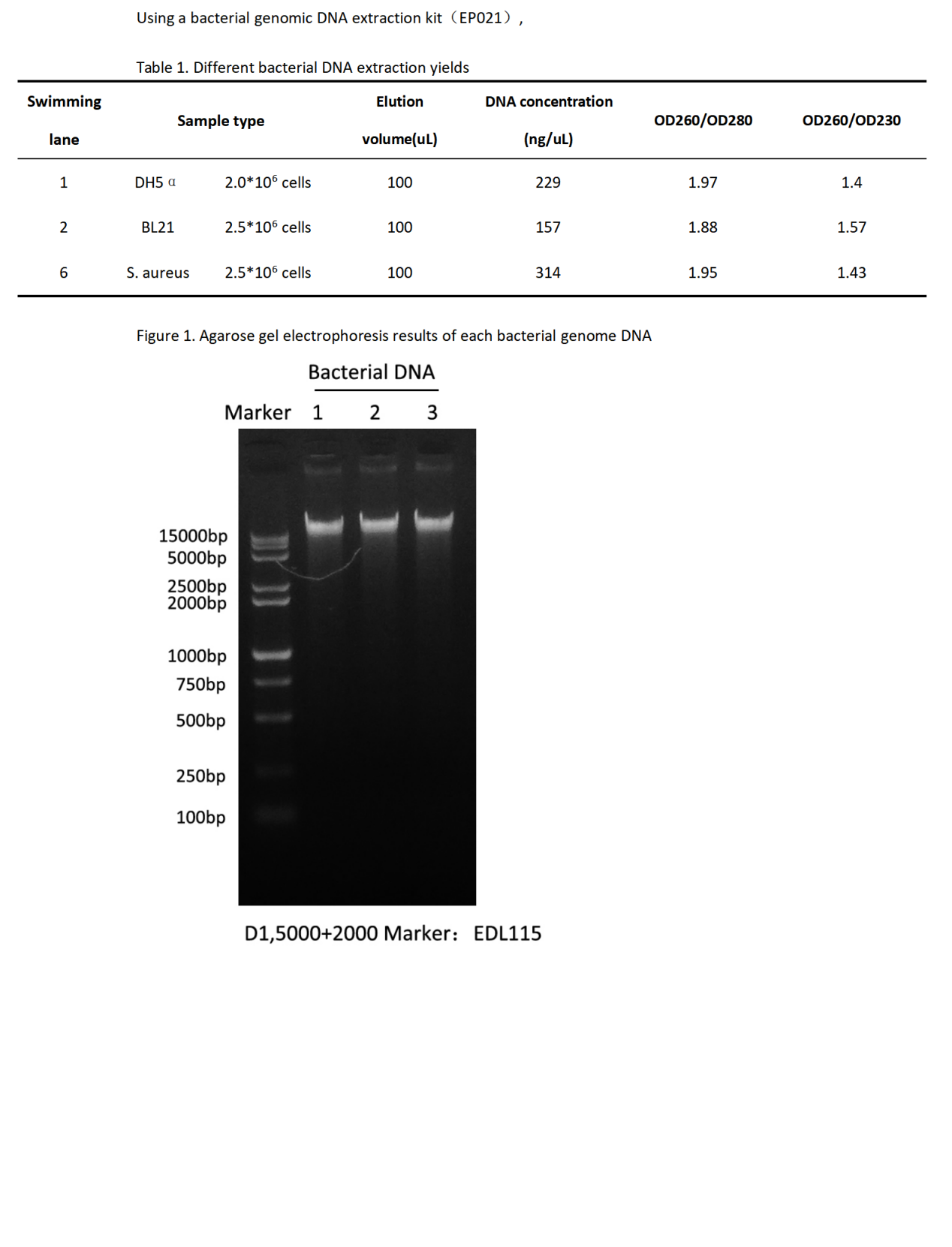 Bacterial DNA Extraction kit – Atochembio