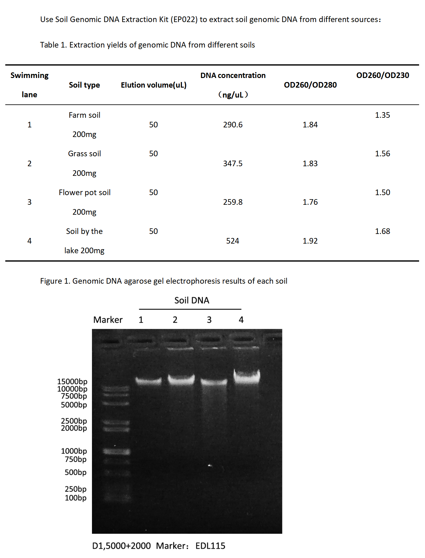 Soil Genome DNA Extraction Kit – Atochembio